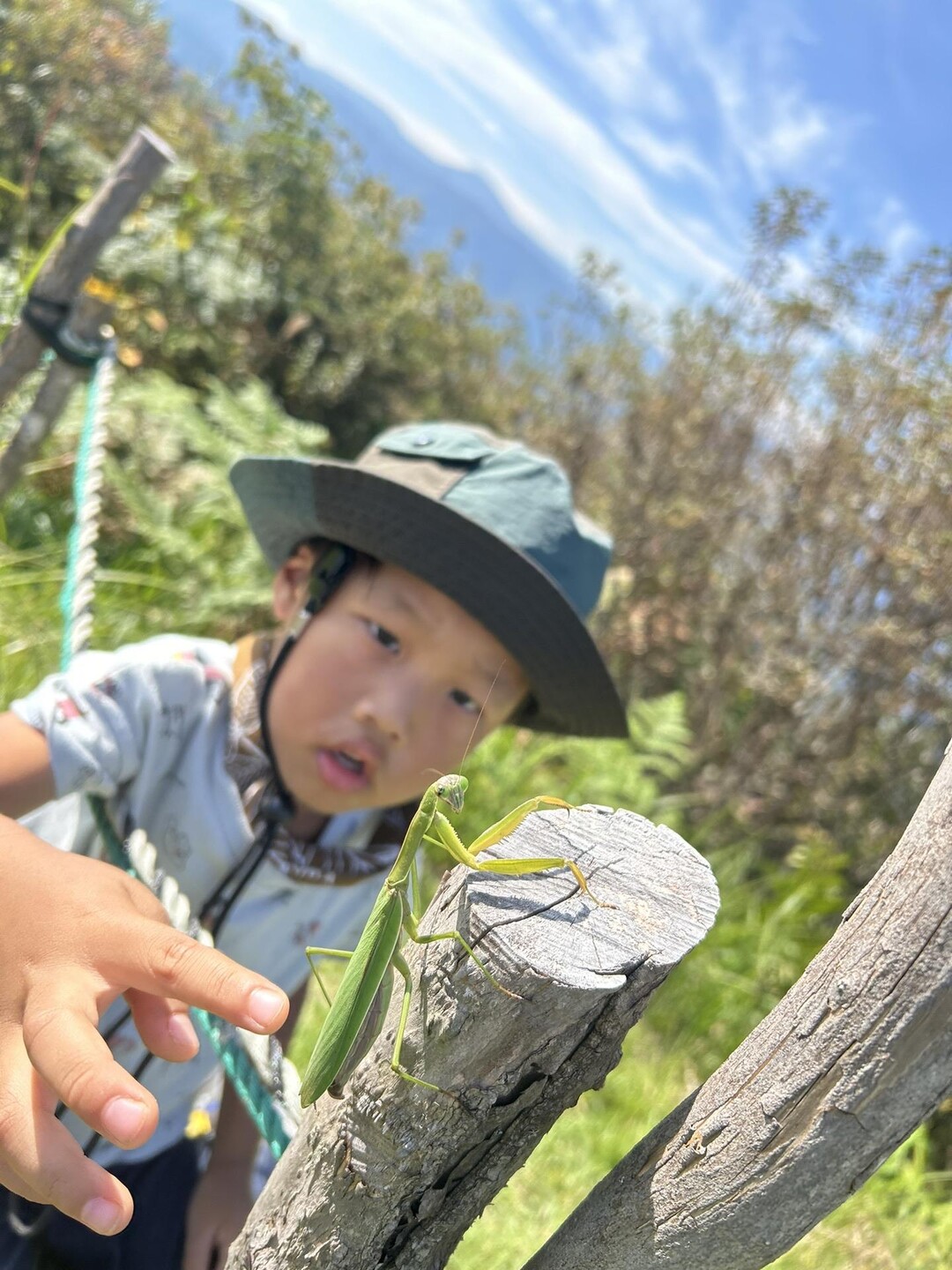年中さんとゆく霧訪山 / kappyさんの霧訪山・大芝山・鳴雷山の活動データ | YAMAP / ヤマップ