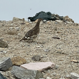 N☆buのページ | YAMAP / ヤマップ