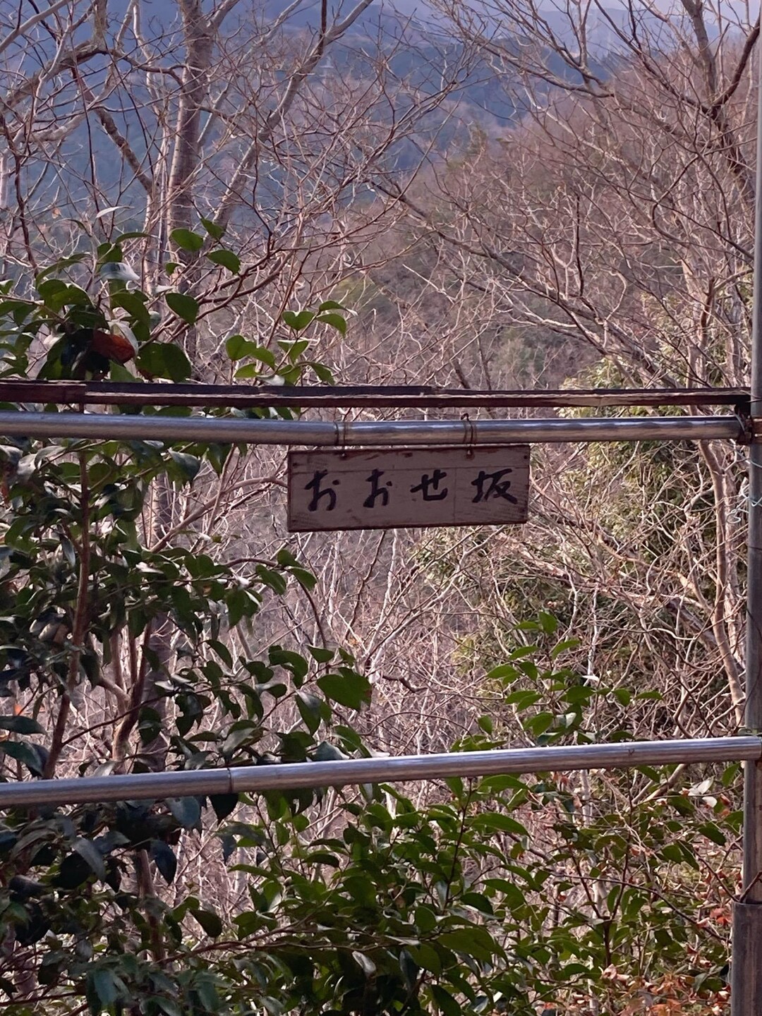 二上山202 / コバピーさんの金剛山・二上山・大和葛城山の活動データ | YAMAP / ヤマップ