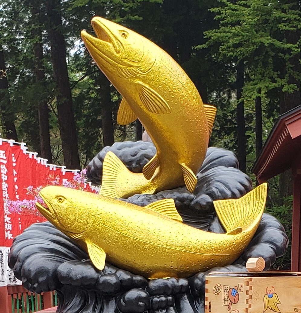 HISA のページ | YAMAP / ヤマップ