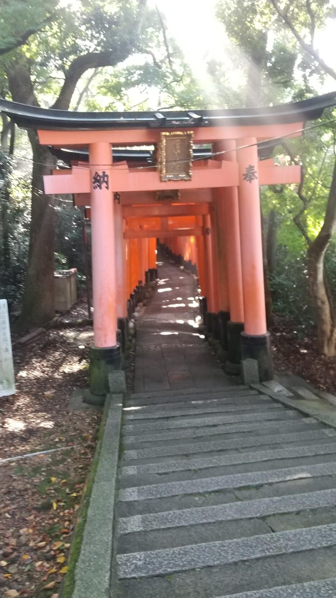 ShinjiHさんの投稿したフィールドメモ | YAMAP / ヤマップ