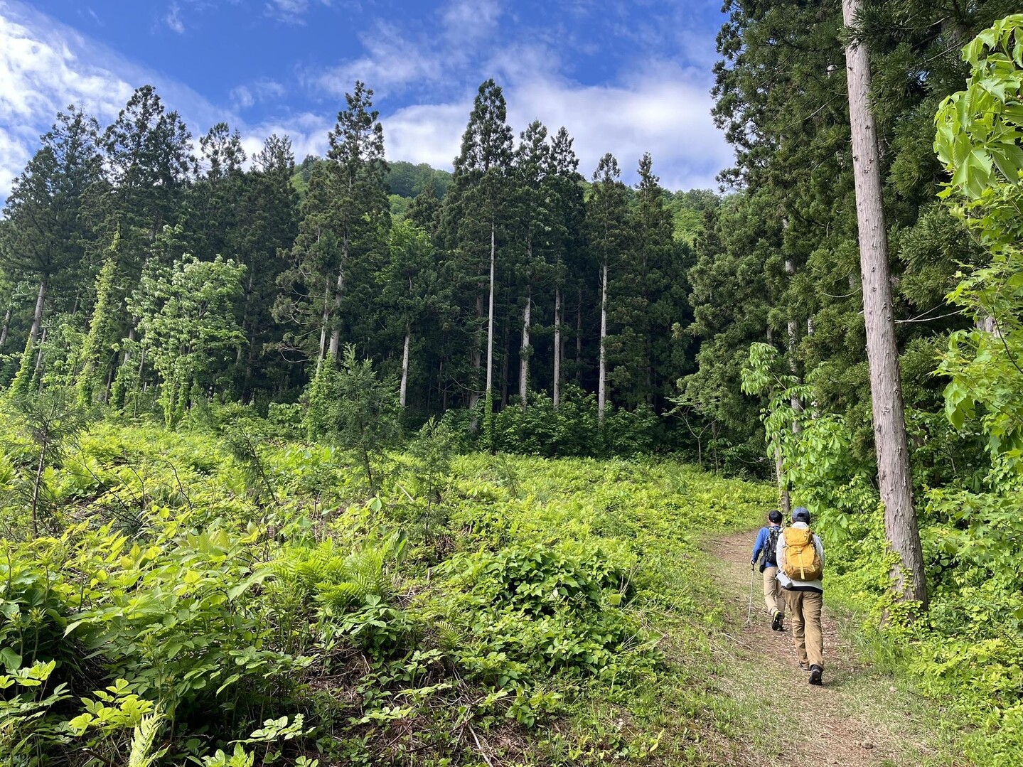 八塩山 / mt.ryuさんの八塩山の活動データ | YAMAP / ヤマップ