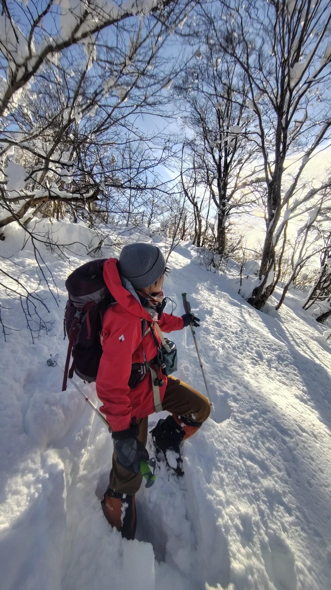 大双嶺山 奥は深い / nomatさんの二子山の活動データ | YAMAP / ヤマップ