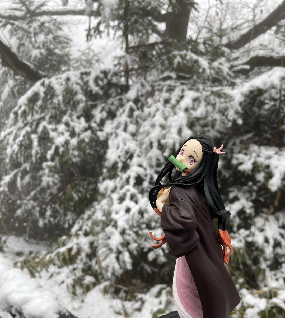 雪 稲 壱 / くらまさんの高尾山・陣馬山・景信山の活動データ | YAMAP / ヤマップ