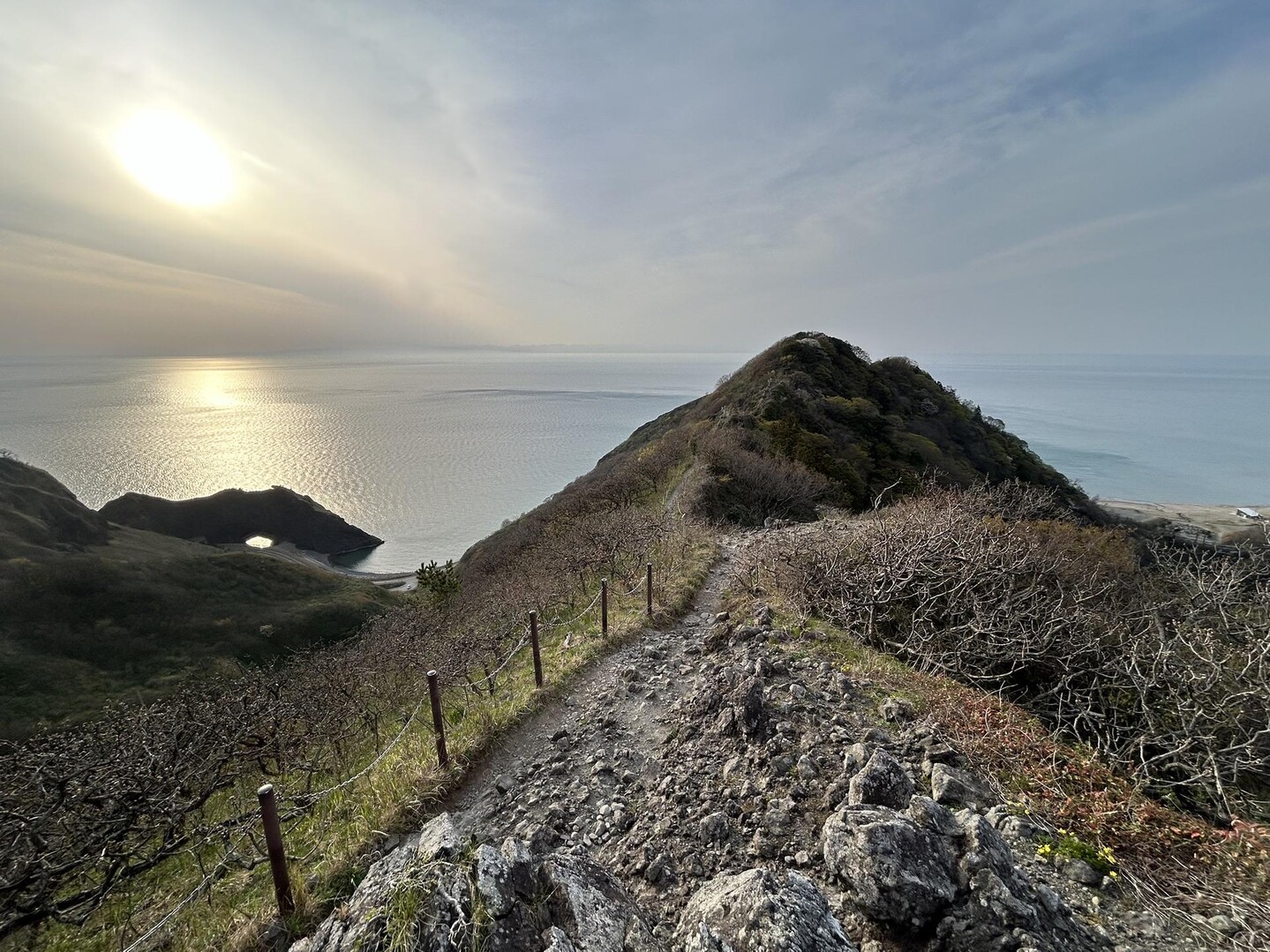 越後・花の低山巡り②角田山（長者原山） / rysykoさんの角田山の活動データ | YAMAP / ヤマップ