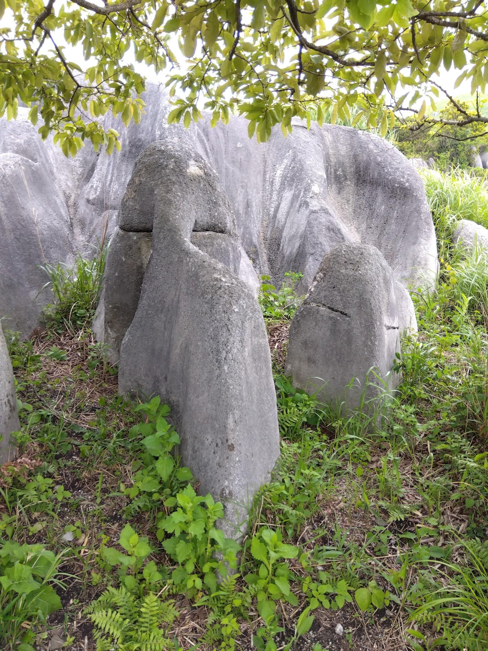 偽水晶山・水晶山・広谷台 / こうじえんさんの平尾台・貫山・水晶山の活動データ | YAMAP / ヤマップ