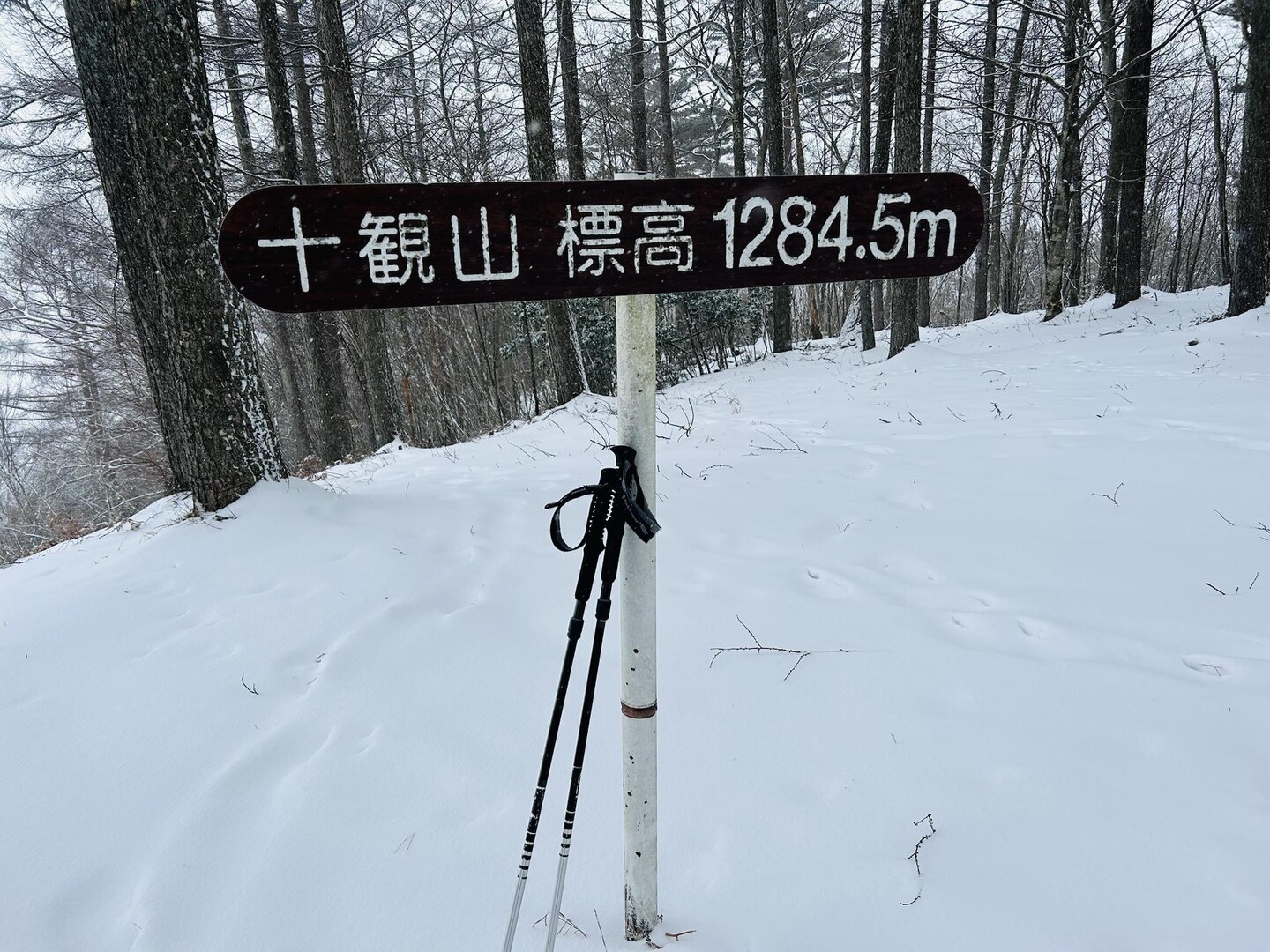 AOKI THREE-PEAKS / 和_kazuさんの夫神岳・女神岳の活動データ | YAMAP / ヤマップ