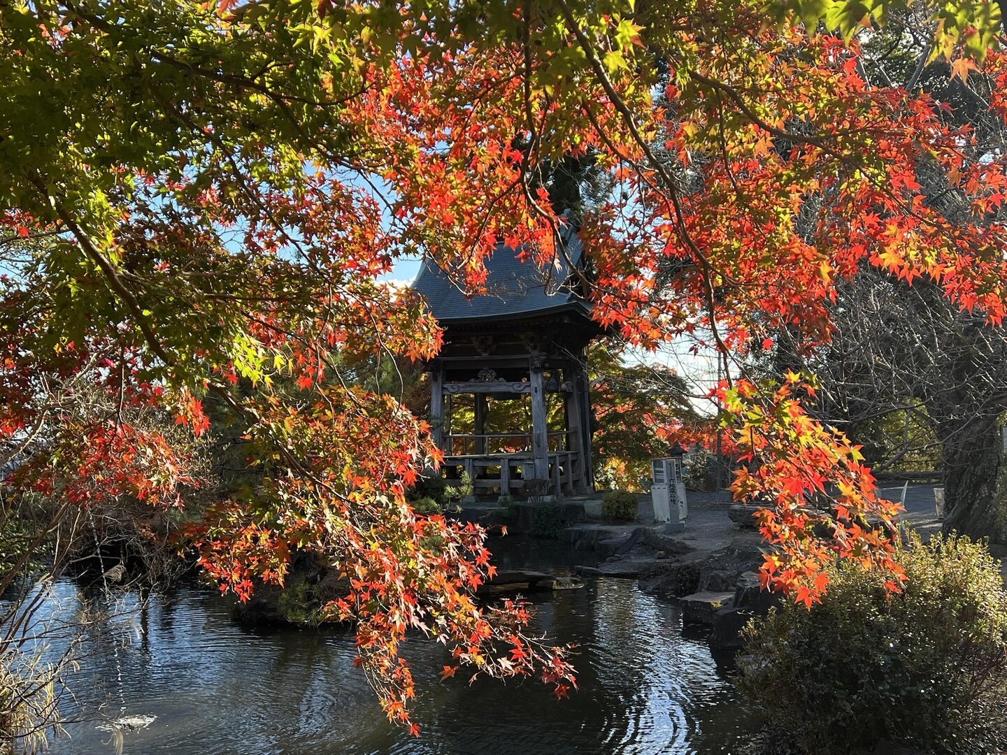 小町山・鬼越山 / emiさんの宝篋山・富岡山の活動日記 | YAMAP / ヤマップ