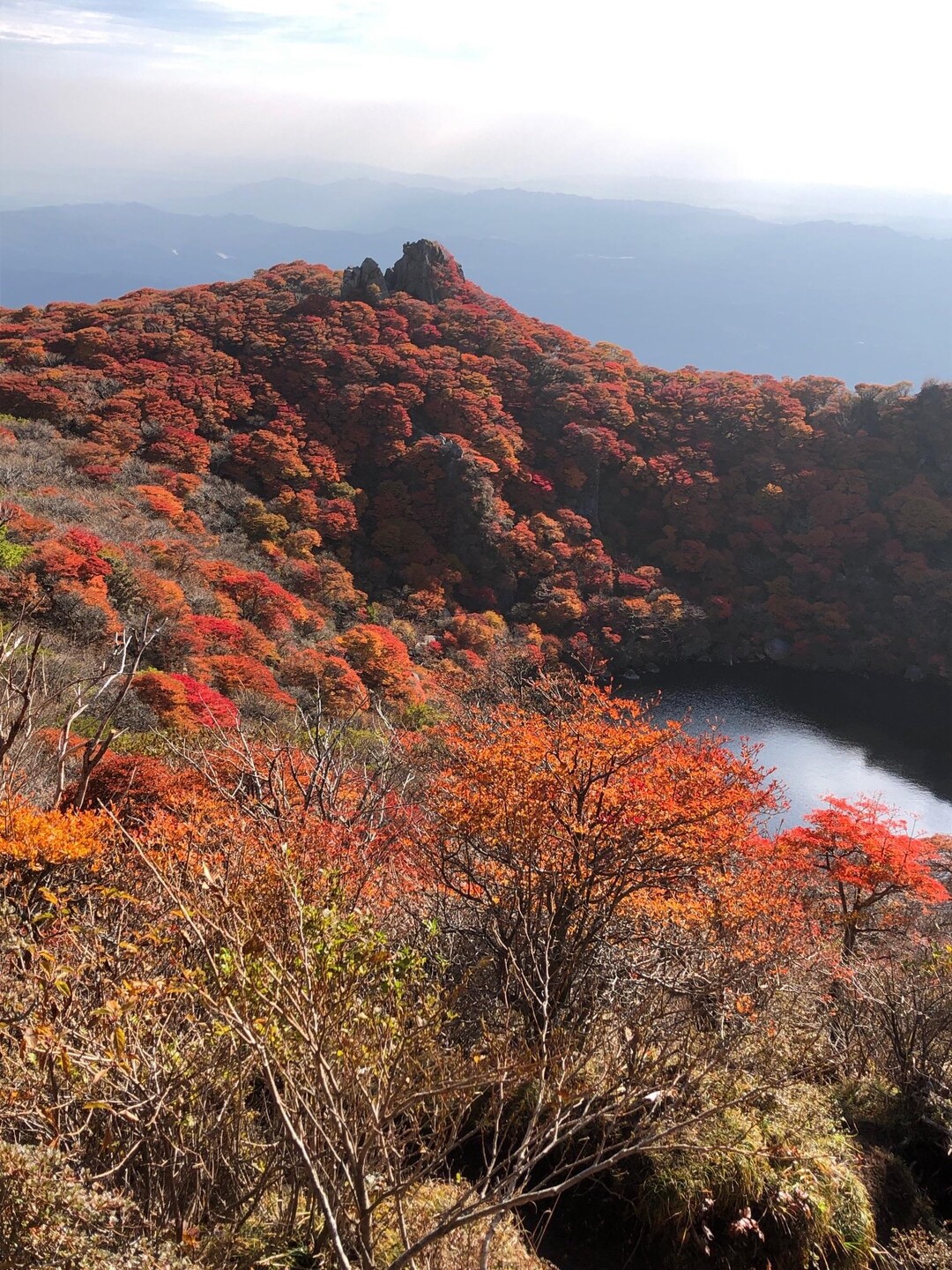 大船山いつ行くの？今でしょ！！(古い💦) / Oh!Gmenさんの九重山（久住山）・大船山・星生山の活動データ | YAMAP / ヤマップ