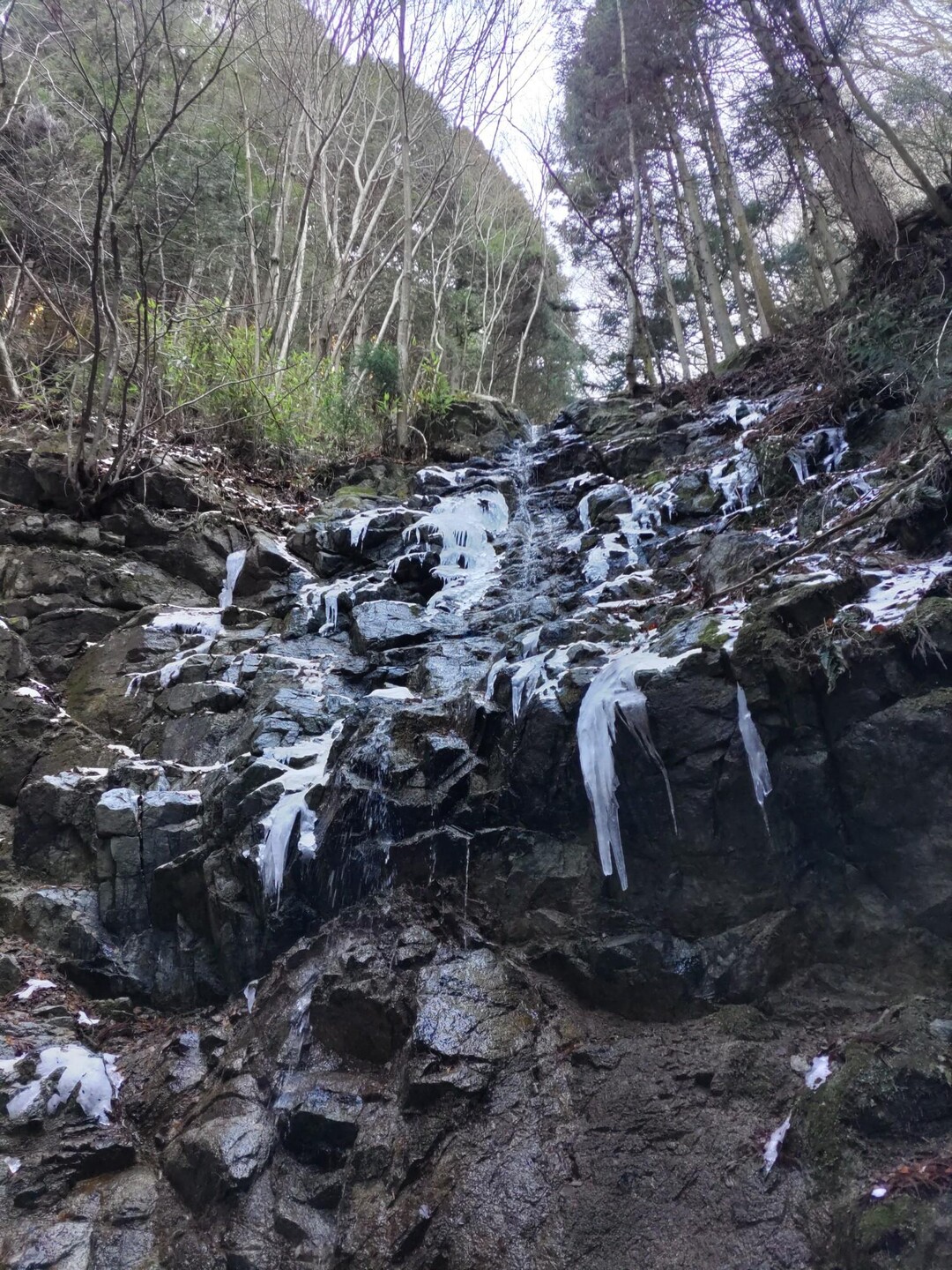 金剛山 ツツジオ谷 氷瀑チェック / T64さんの金剛山・二上山・大和葛城山の活動データ | YAMAP / ヤマップ