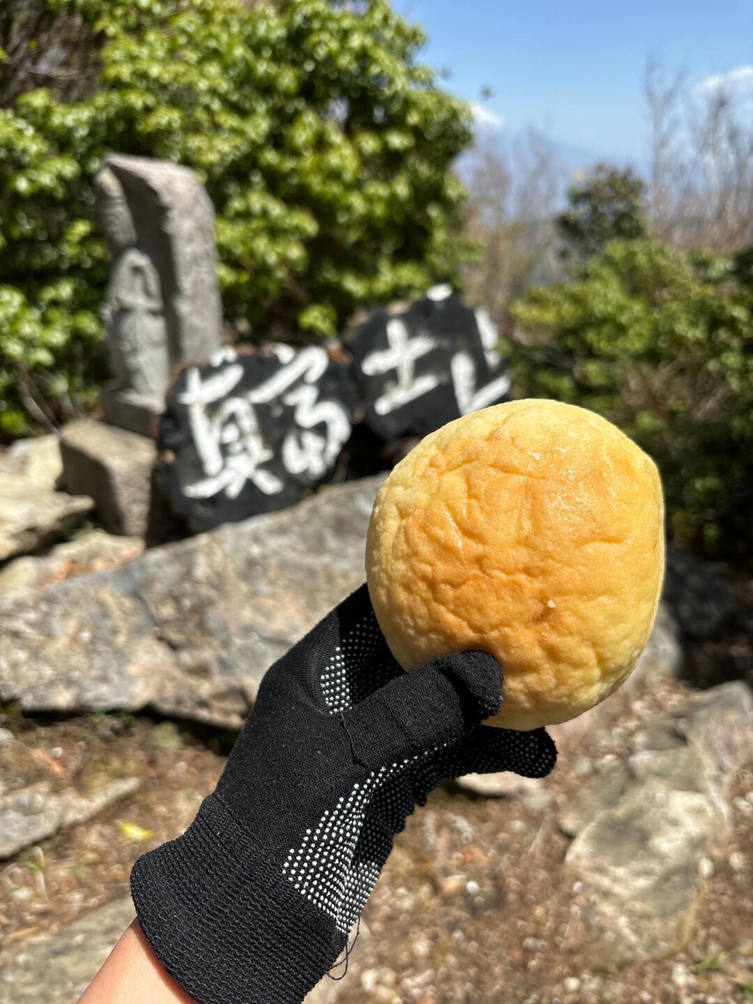 真富士山・第二真富士山 / tokoさんの真富士山の活動データ | YAMAP / ヤマップ