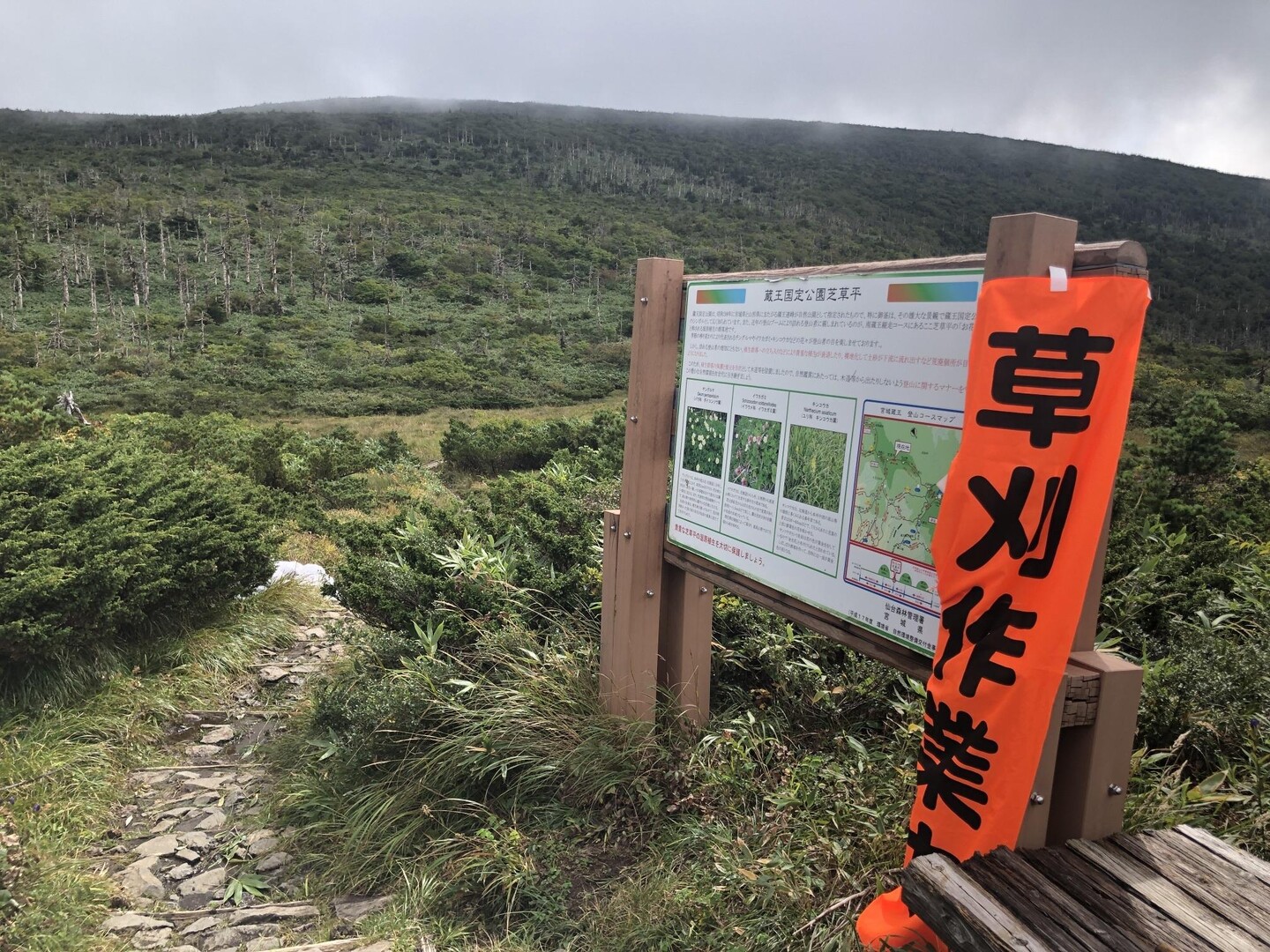 登山道整備 / carolさんの蔵王山・雁戸山・不忘山の活動データ | YAMAP / ヤマップ