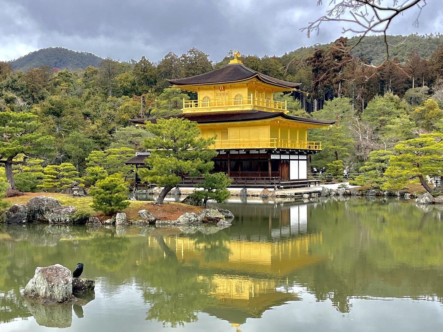 京都トレイル episode ⑤「仁和寺と金閣寺」 / kuma925さんの京都一周トレイルの活動データ | YAMAP / ヤマップ