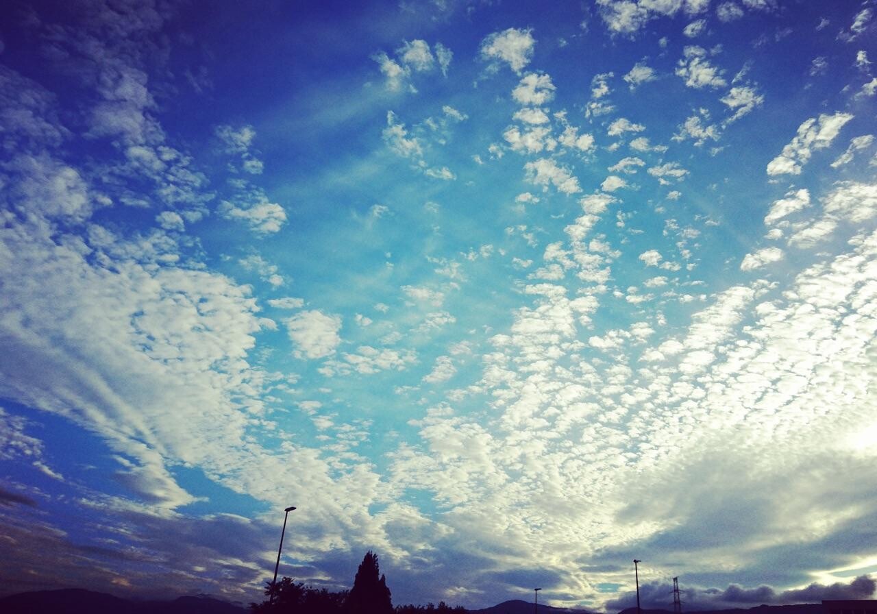 karashiのページ | YAMAP / ヤマップ