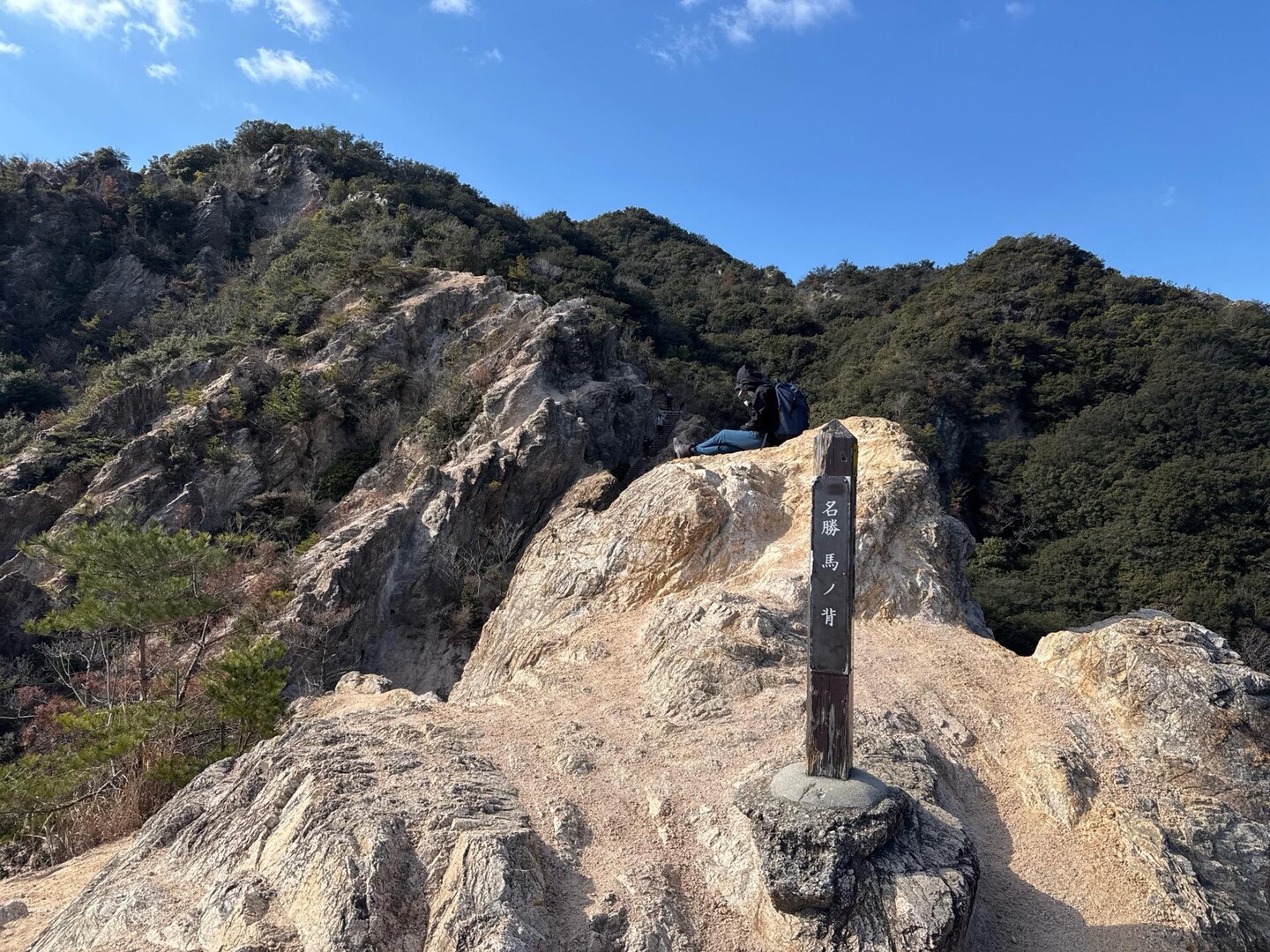 六甲半縦走 須磨〜新神戸 トレラン / manabossさんの六甲山・長峰山・摩耶山の活動データ | YAMAP / ヤマップ