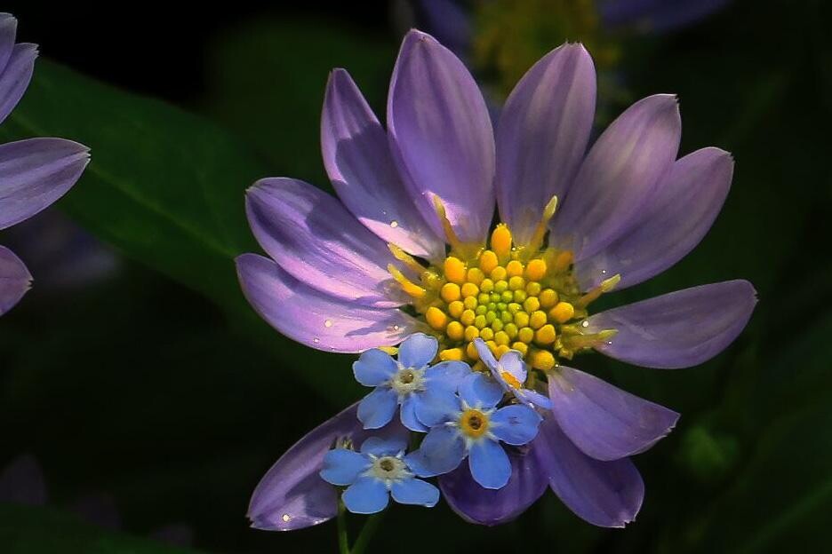 okayanのページ | YAMAP / ヤマップ