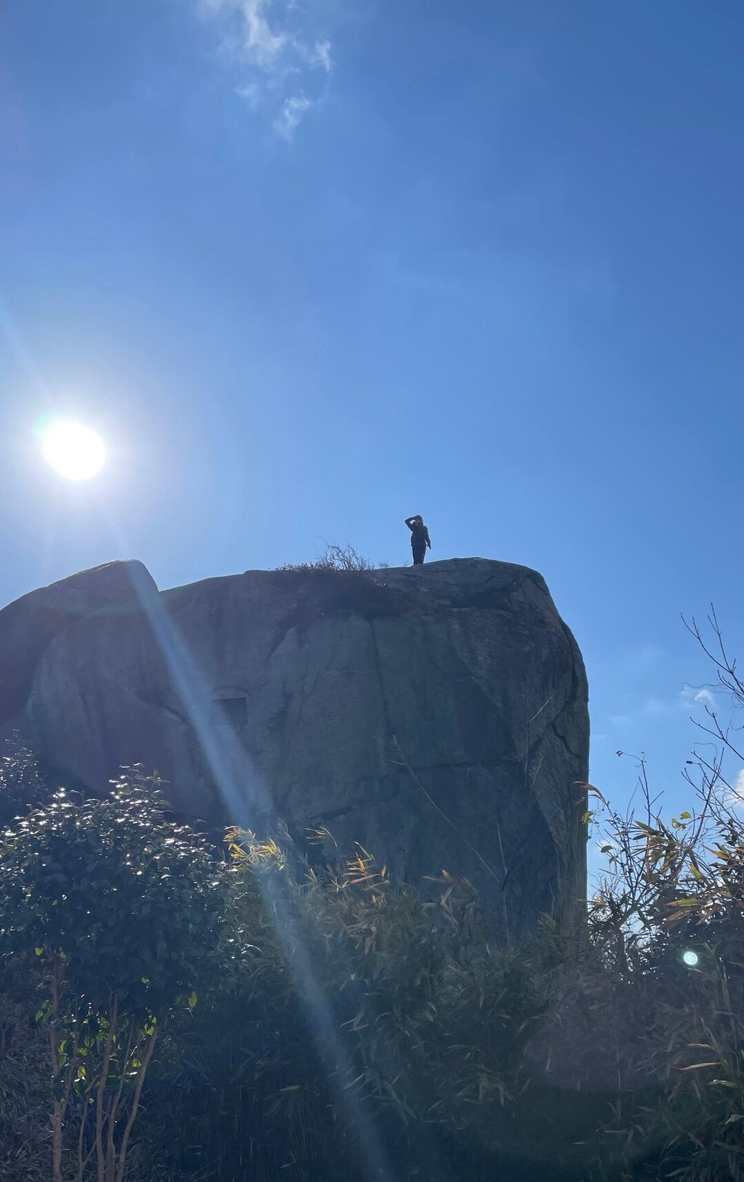 やっと星田山60座🙌🏻＋国見山・新サンドイッチ山・交野山・サンドイッチ山・アンテナ山 / IKUKOさんの交野山・国見山の活動データ | YAMAP / ヤマップ