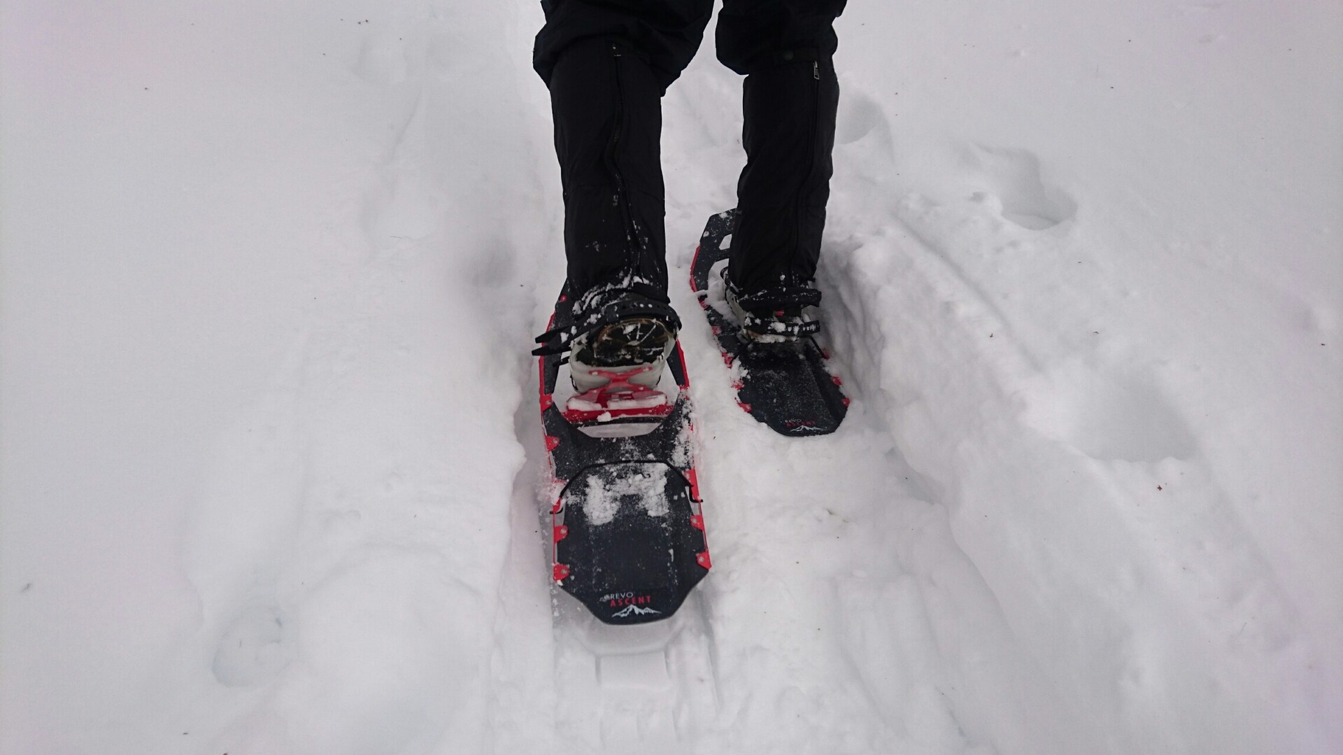 兜明神獄 / kiyoさんの兜明神嶽（兜明神岳）・岩神山の活動データ | YAMAP / ヤマップ