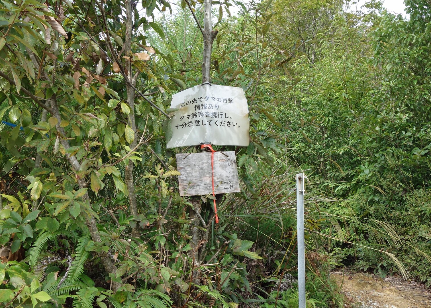 wtaxus わたくさすさんの投稿したフィールドメモ | YAMAP / ヤマップ