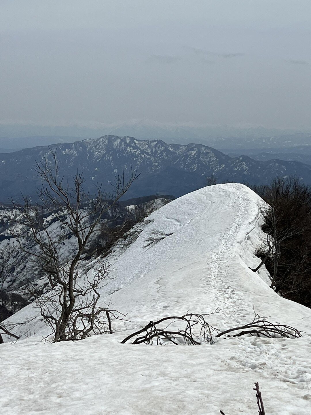 新潟2日目は米山へ🌸🌸🏔️🎵 / medamonさんの米山の活動データ | YAMAP / ヤマップ