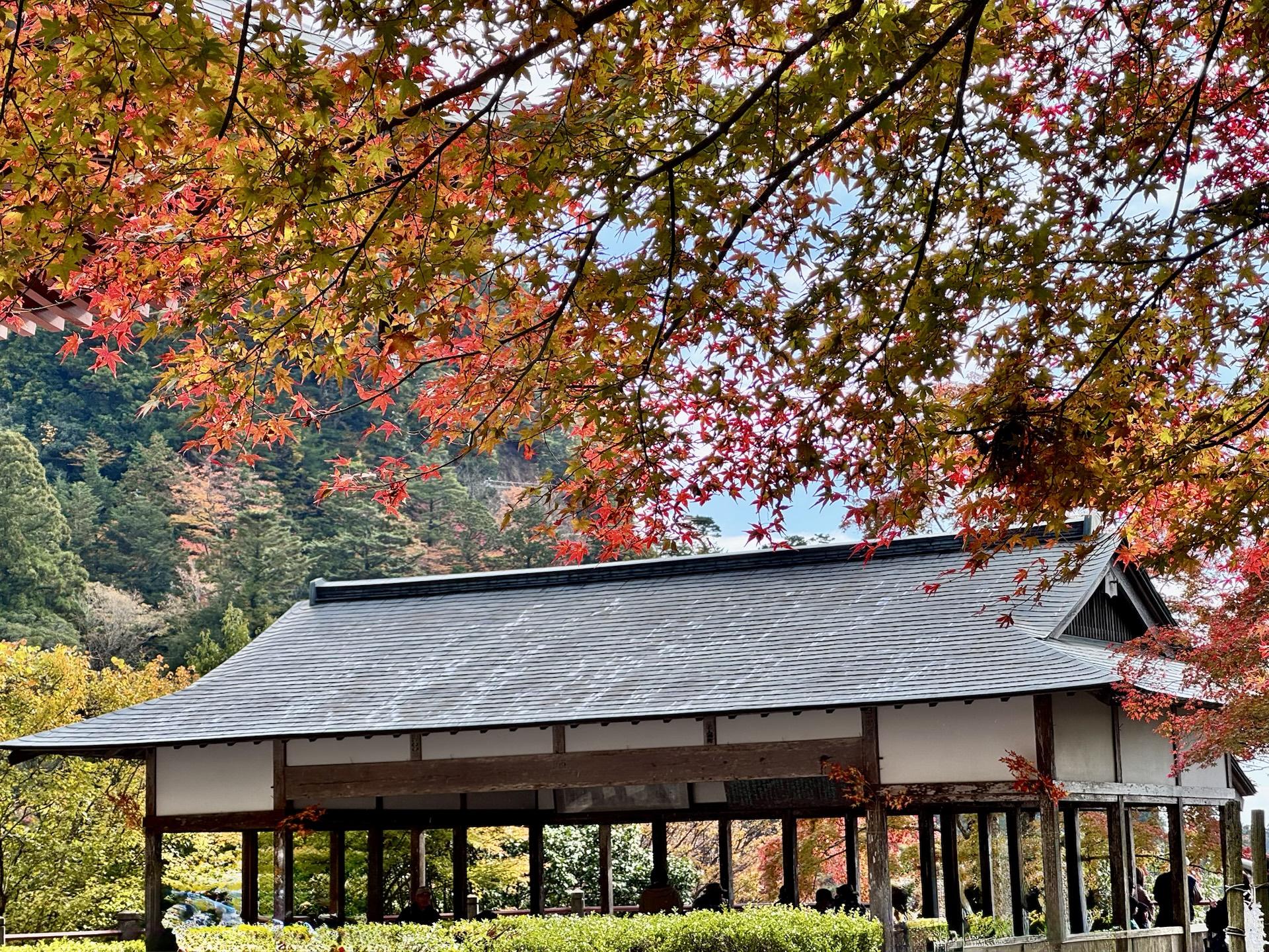 鳳来寺山🍁 / ターボさんの宇連山・鳳来寺山・岩古谷山の活動データ | YAMAP / ヤマップ