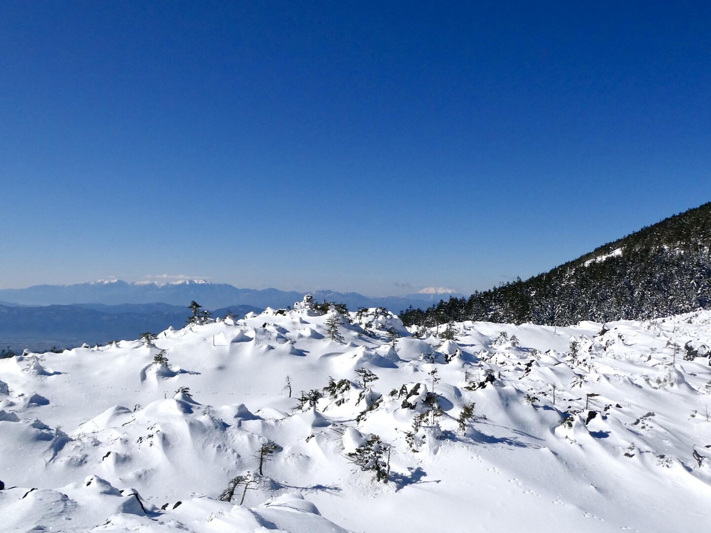 北横岳（南峰）（北峰） / skipさんの蓼科山・横岳・縞枯山の活動データ | YAMAP / ヤマップ