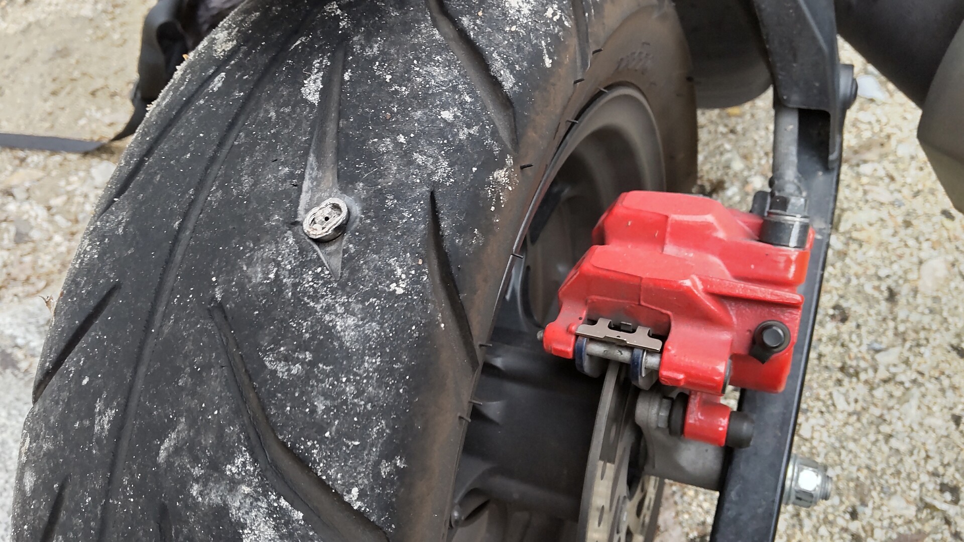 ラス2！(リーチの予定だったのですが) / uttyokoさんの金剛山・二上山・大和葛城山の活動データ | YAMAP / ヤマップ