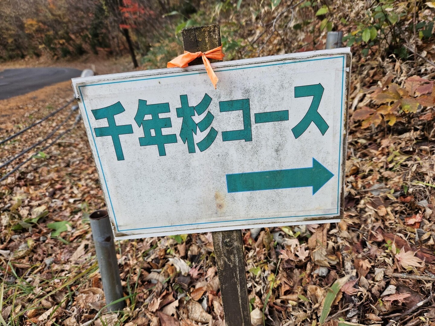 えぼしスキー場周回-2023-11-23 スキー場OPENは12月9日（土）予定 / サクラさんの蔵王山・雁戸山・不忘山の活動データ | YAMAP / ヤマップ