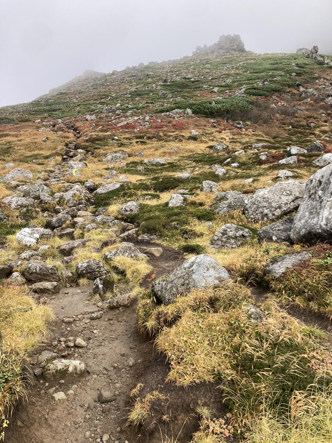 トムラウシ山 / エゾウィンさんのGT3 2の活動データ | YAMAP / ヤマップ