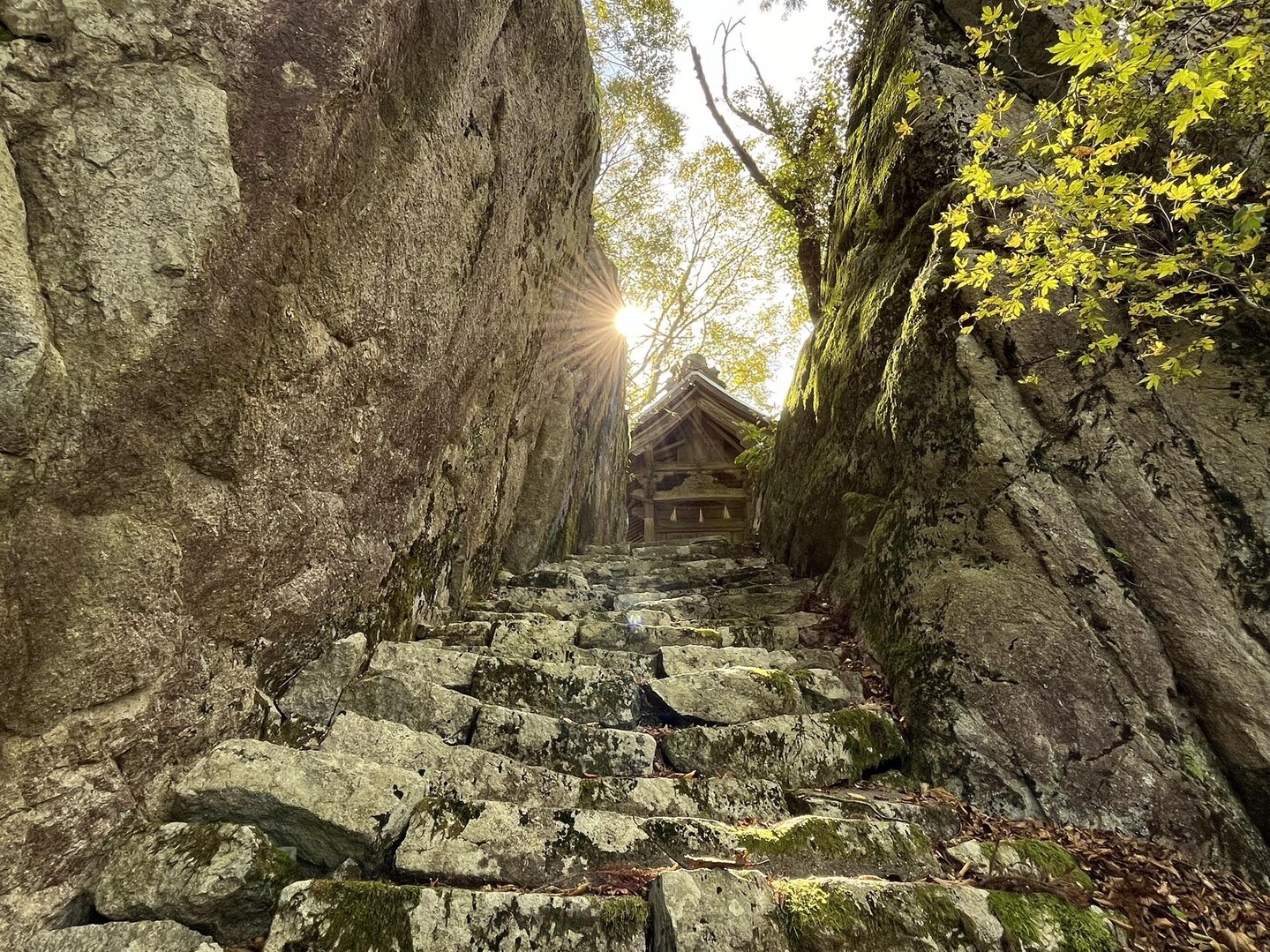 神さま降臨の山 琴引山 / Mt.masuさんの大万木山・琴引山（弥山）・指谷山・鯛ノ巣山の活動データ | YAMAP / ヤマップ