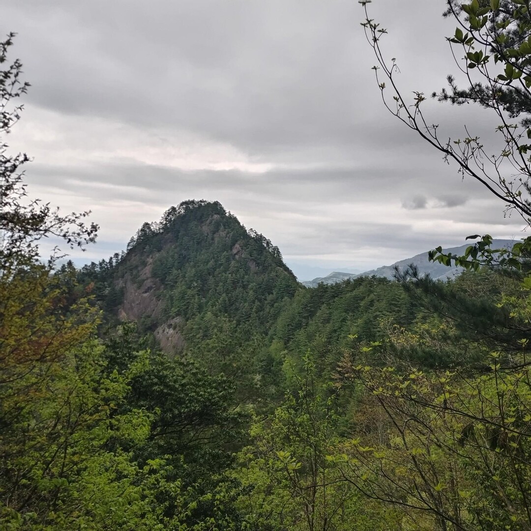 京ヶ倉 / ユキさんの京ヶ倉・大城の活動データ | YAMAP / ヤマップ