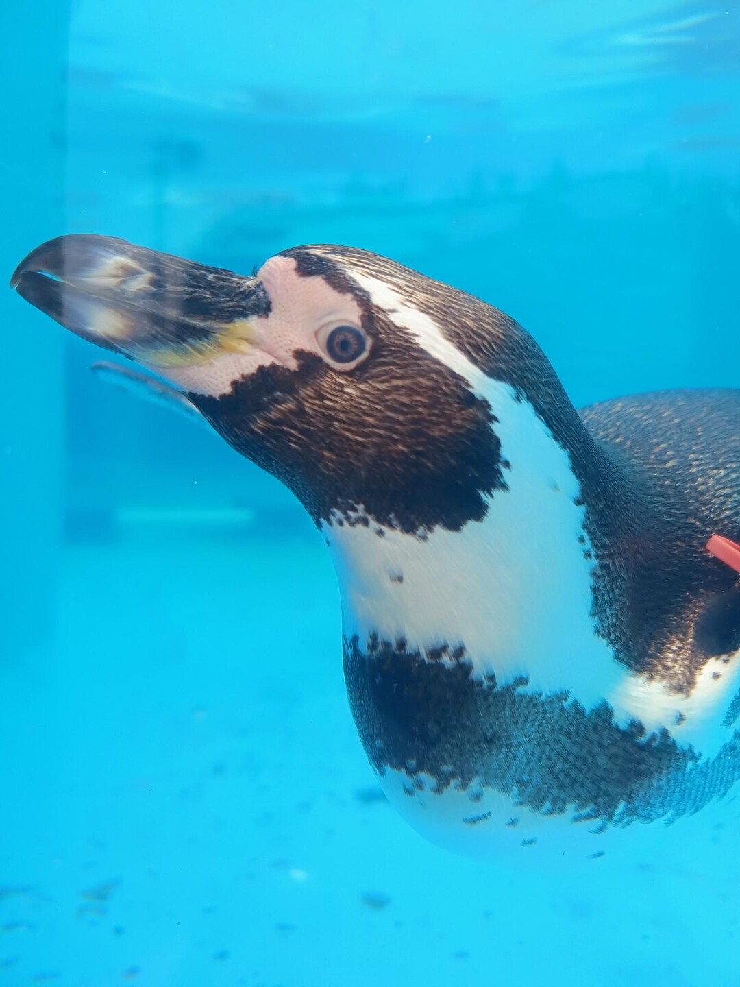 EMMAのページ | YAMAP / ヤマップ