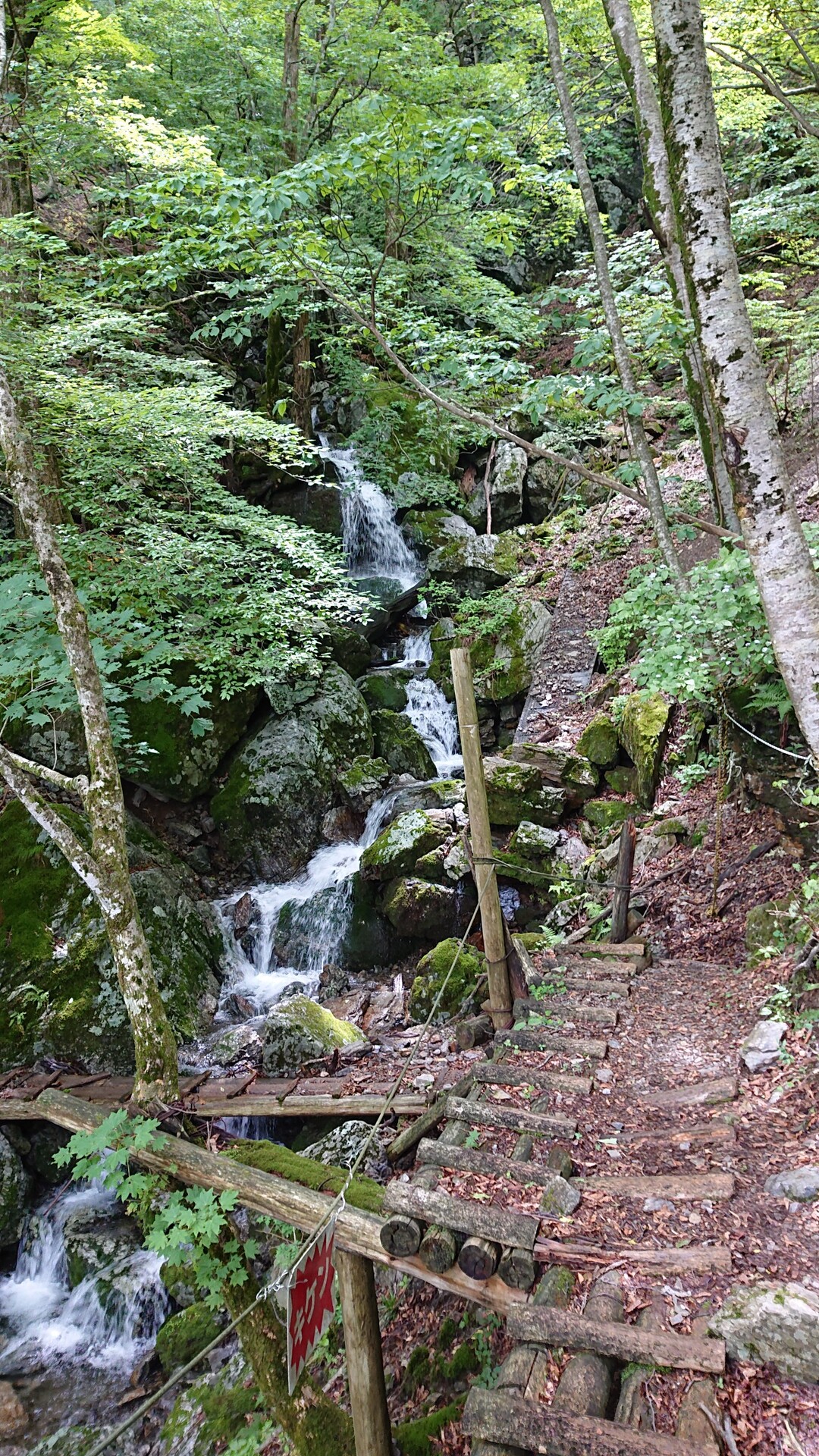 国見山・桧塚奥峰周回コース / t-setoさんの桧塚奥峰・明神岳・薊岳の活動データ | YAMAP / ヤマップ