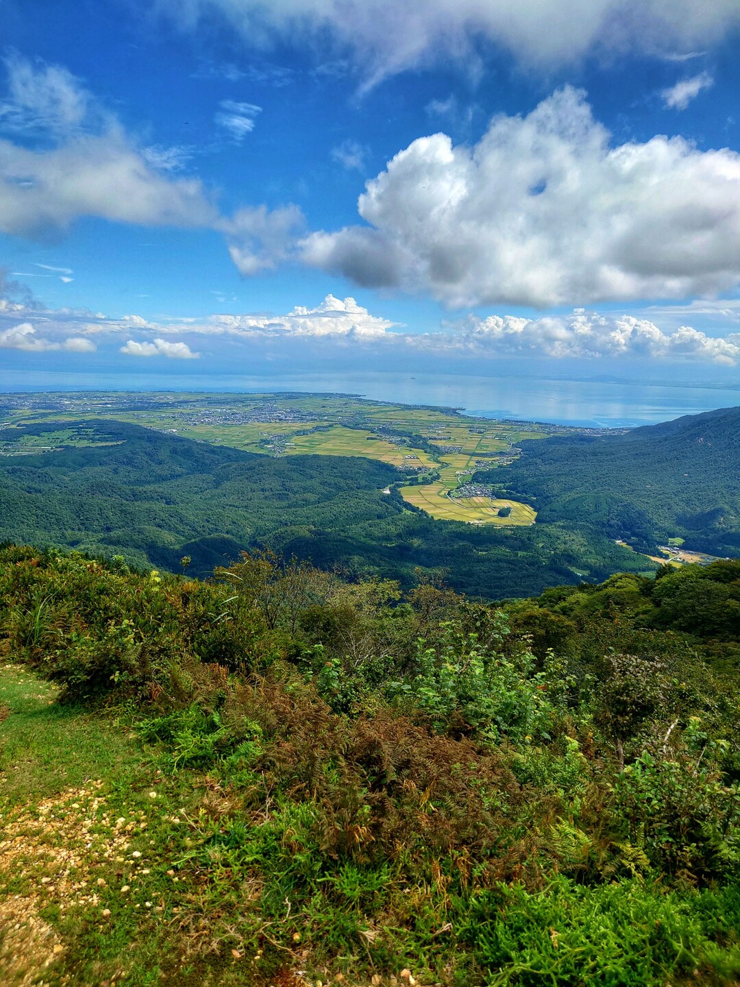 蛇谷ヶ峰 / Ichiroさんの蛇谷ヶ峰の活動データ | YAMAP / ヤマップ