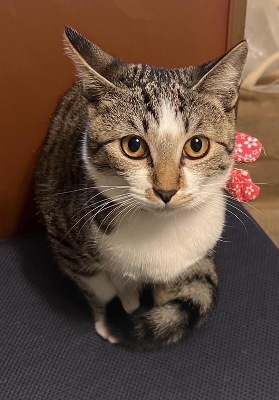 aranのページ | YAMAP / ヤマップ