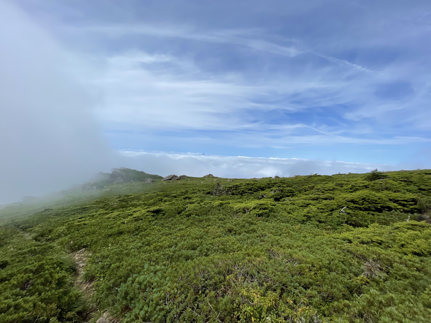 2022.08.04(木) 12:56 / おーつかさんのモーメント | YAMAP / ヤマップ