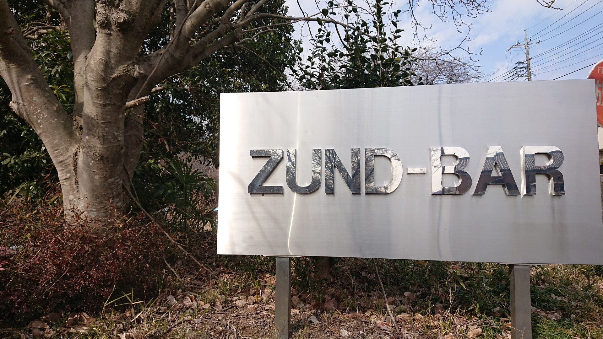 蝋梅の里～白山・見城山・日向山とZUND BAR / 大山の写真9枚目 / 気になっていたのよね | YAMAP / ヤマップ