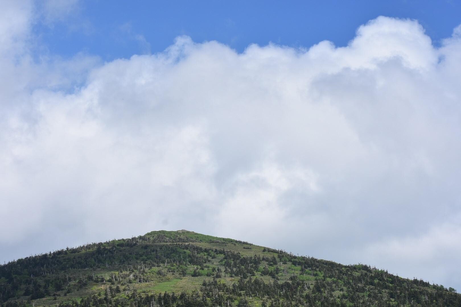 【秋田・森吉山】自然観察会のガイド🚶 / yanagi_outdoorさんの森吉山の活動データ | YAMAP / ヤマップ