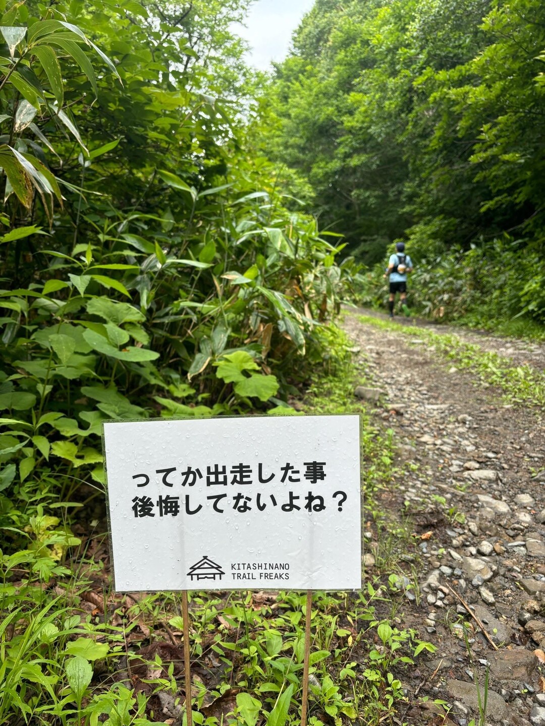 志賀高原100 出走55k / ringostarさんのトレイルランニングの活動データ | YAMAP / ヤマップ