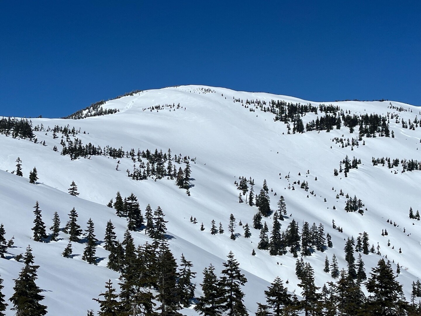 晴天！いざ会津駒ヶ岳へ / Hiro@mou.reさんの会津駒ヶ岳の活動データ | YAMAP / ヤマップ