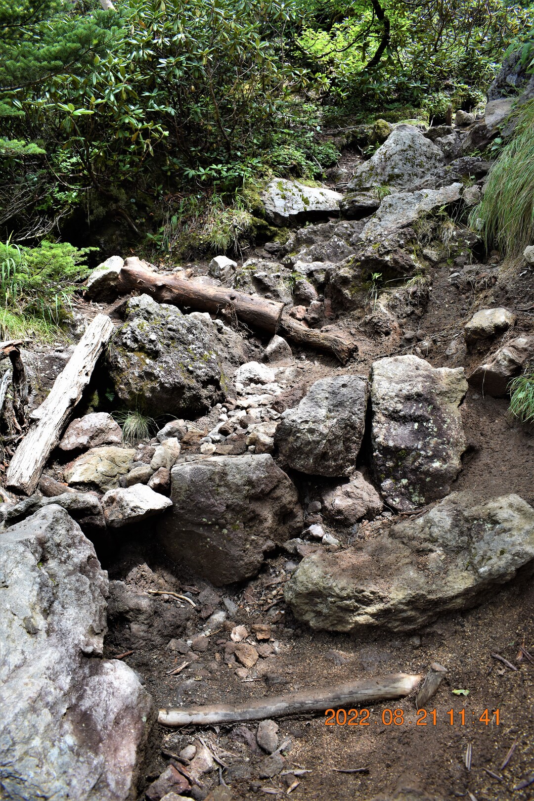 ピエール・HOSHIさんの投稿したフィールドメモ | YAMAP / ヤマップ