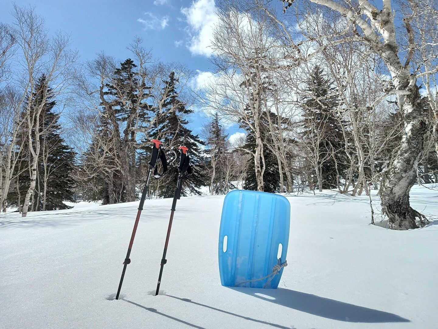 朝里岳（1280.6m）【トンネル手前から入山】 / みやさんさんの余市岳・定山渓天狗岳の活動データ | YAMAP / ヤマップ