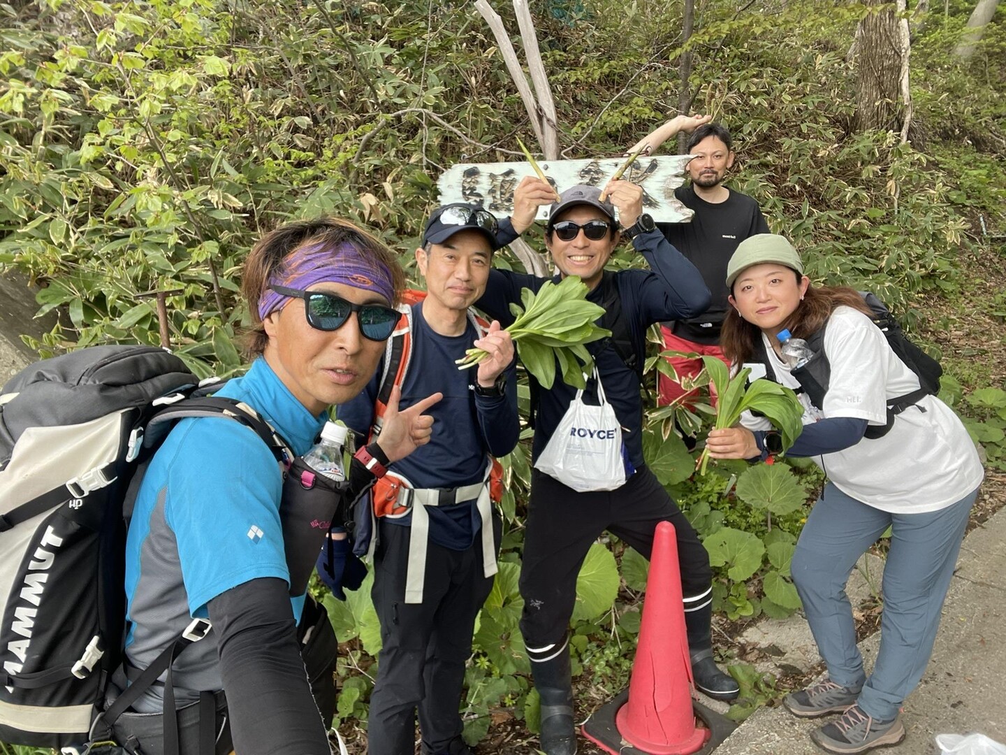 皆で楽しむ🤗day1 瀞台 (馬追山)〜お初の🔰🌿山菜ハンティング⛅️ / ヒロミ1229さんの馬追丘陵・長官山・瀞台（馬追山）の活動データ | YAMAP / ヤマップ