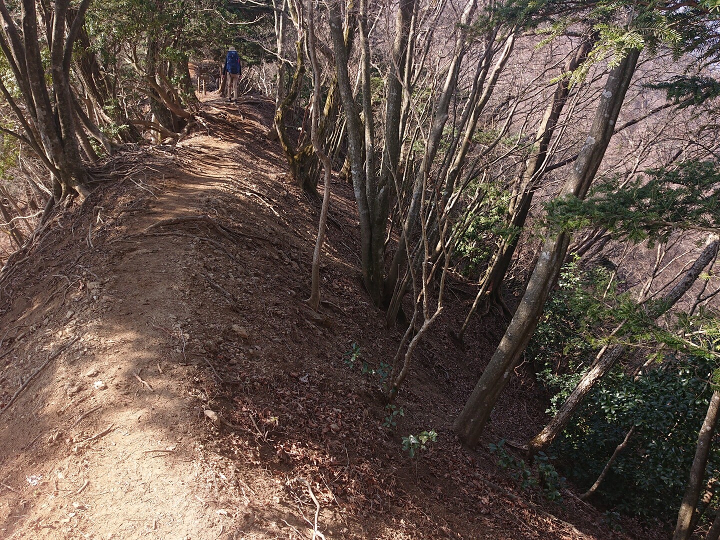 Kai.yさんの投稿したフィールドメモ | YAMAP / ヤマップ