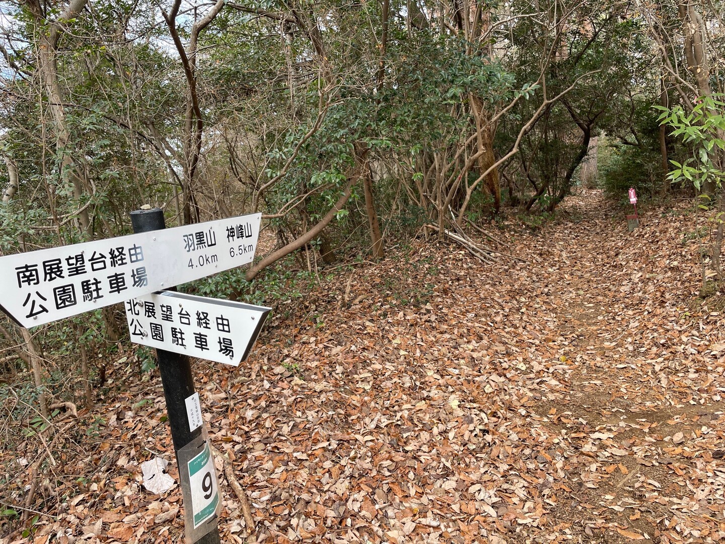 von Sigさんの投稿したフィールドメモ | YAMAP / ヤマップ