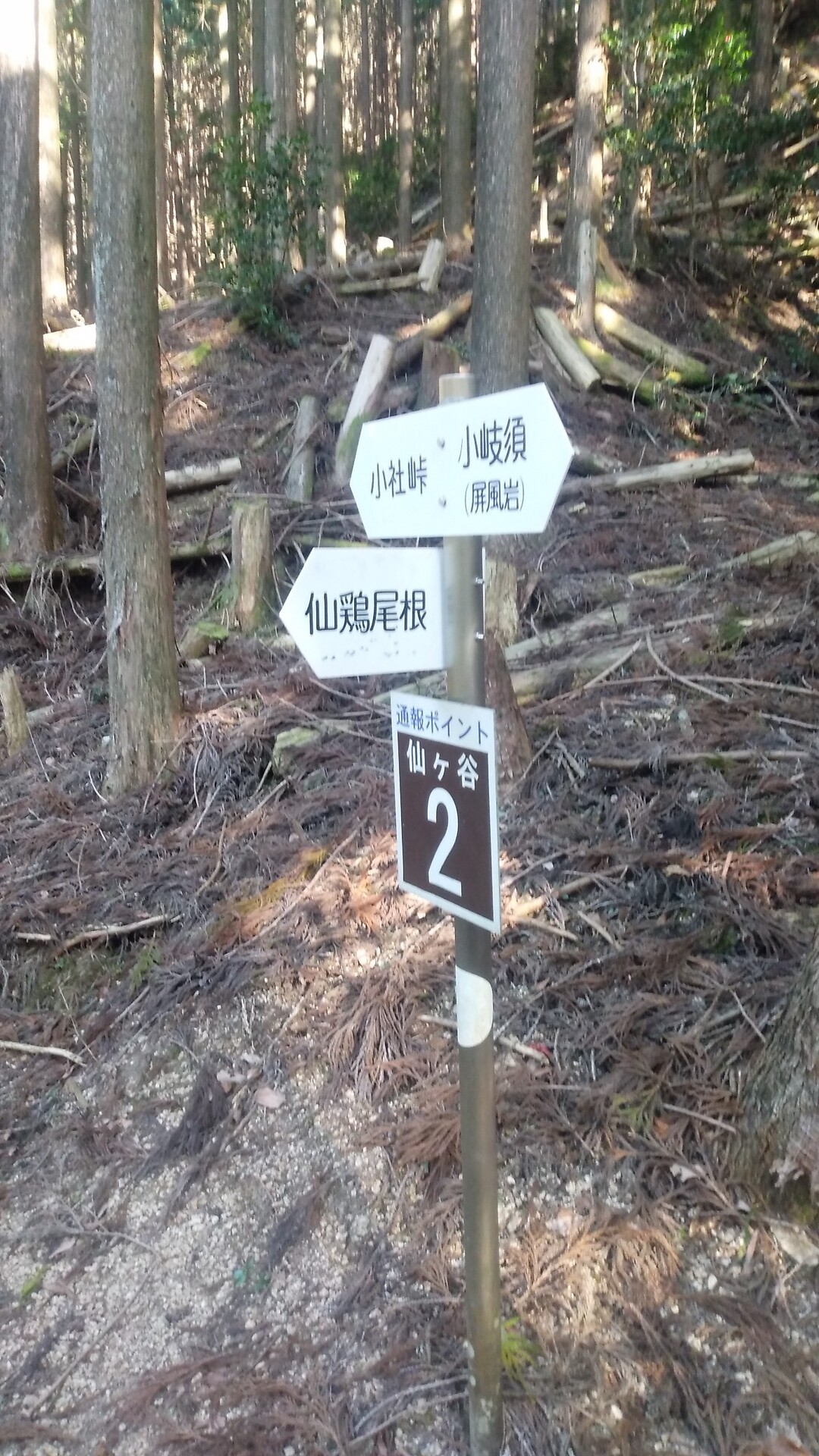 入道ヶ岳・鎌ヶ岳・仙ヶ岳-2020-04-11 / シゲさんswさんの入道ヶ岳・鎌ヶ岳・仙ヶ岳の活動データ | YAMAP / ヤマップ