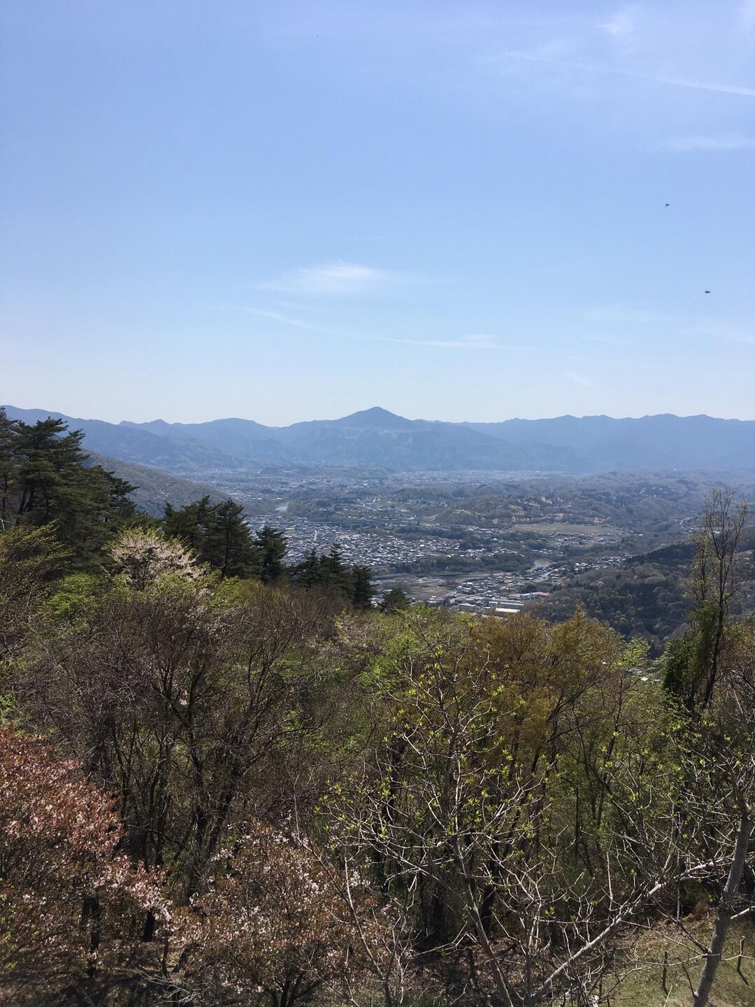 宝登山お花見ハイキング🌸 / naka-kohさんの宝登山・長瀞アルプス・不動山・陣見山・鐘撞堂山の活動データ | YAMAP / ヤマップ