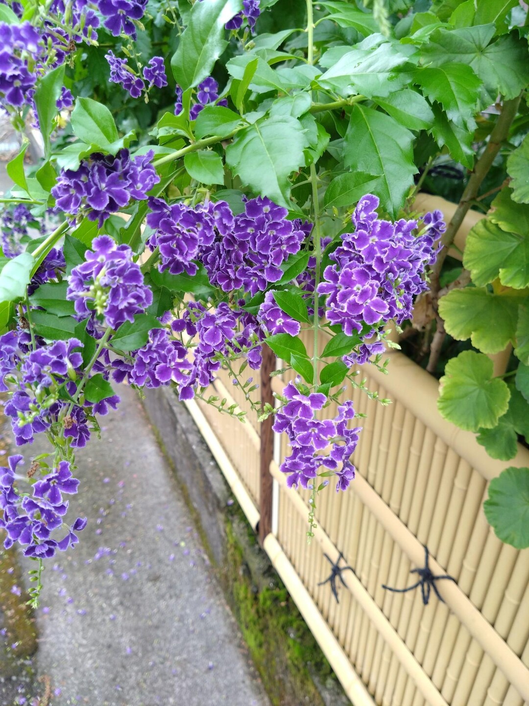 1泊2日で旅行にでるんだけど、 まだ何ひ... / Kmk-Nさんのモーメント | YAMAP / ヤマップ