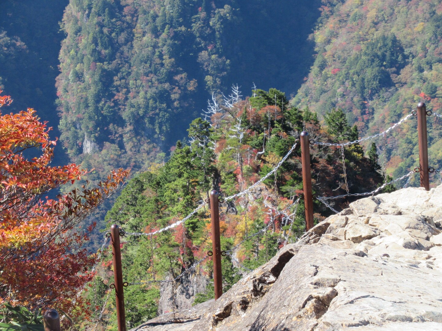 best 大台ヶ原 熊野灘が綺麗に見え... / めぐりんさんのモーメント | YAMAP / ヤマップ