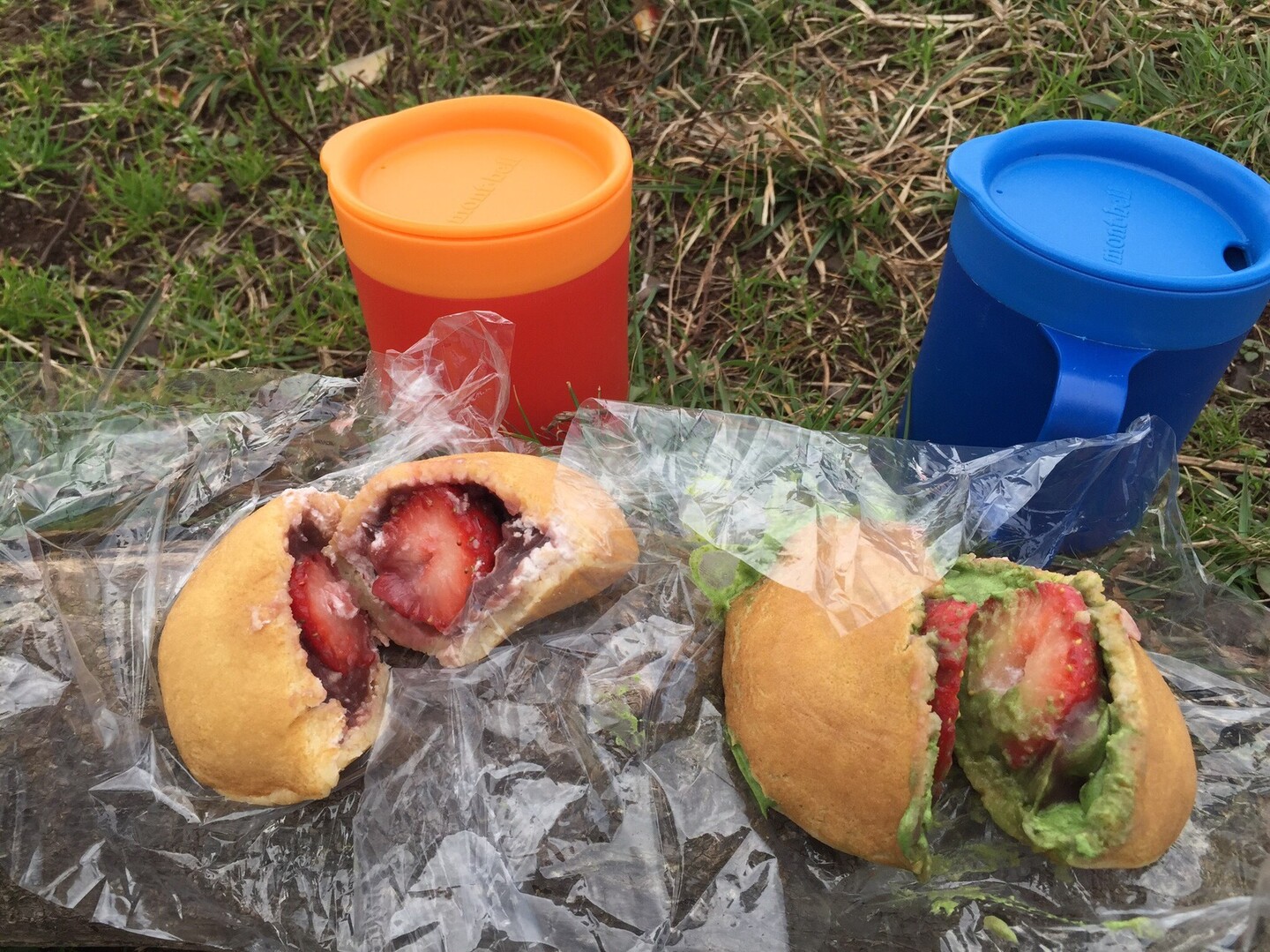 初の可也山。 / hirajunさんの糸島三都110キロウォークの活動日記 | YAMAP / ヤマップ